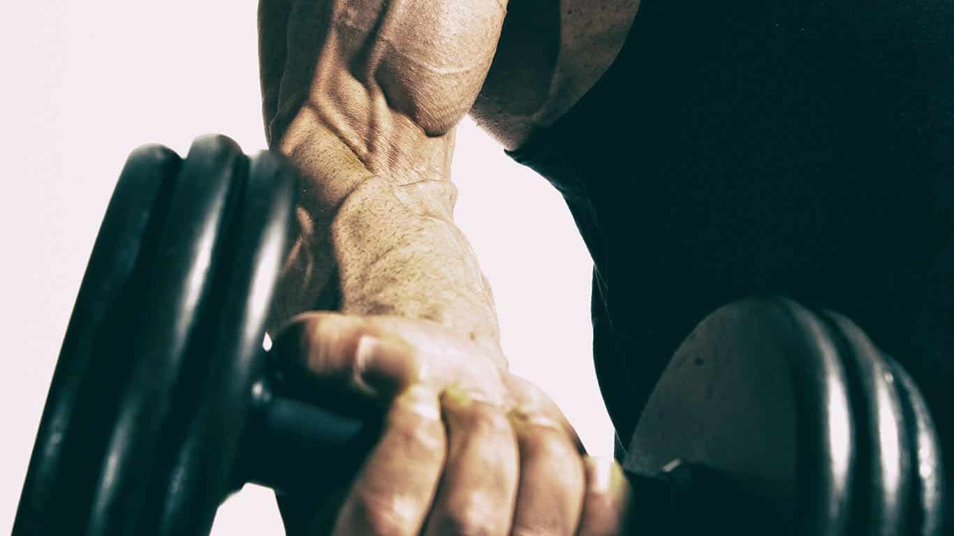 Les 4 types de contraction musculaire - Fitness Life