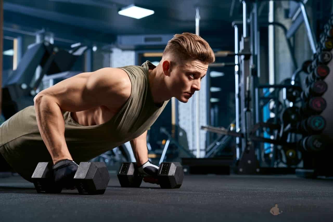 Exercices Pectoraux à Faire à la Maison - Fitness Life