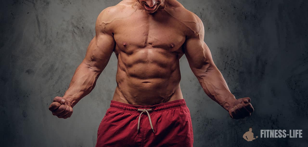 Les 4 types de contraction musculaire - Fitness Life